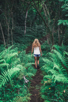 Hike to Waihe'e & Hamama Falls – HawaiiFunshine