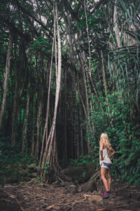 Hike to Waihe'e & Hamama Falls – HawaiiFunshine