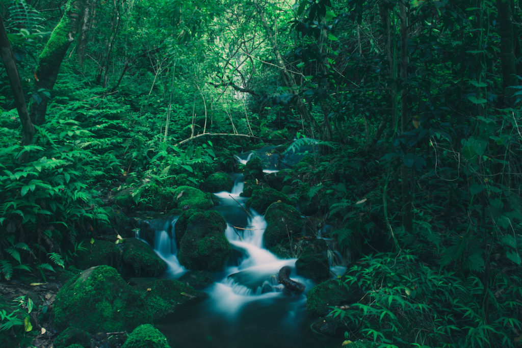 Hike to Waihe'e & Hamama Falls – HawaiiFunshine