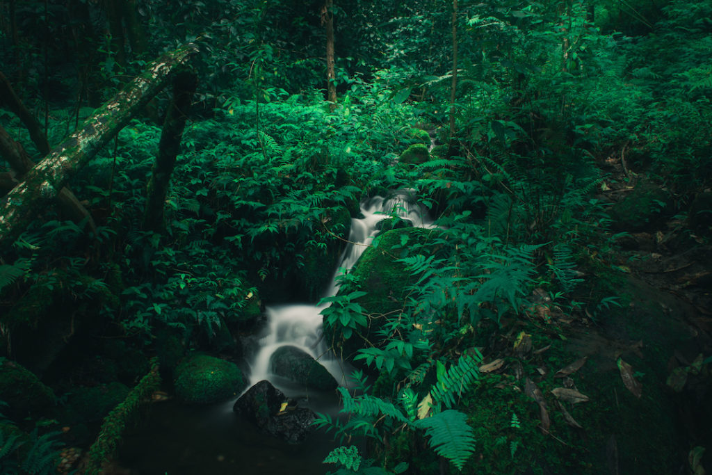 Hike to Waihe'e & Hamama Falls – HawaiiFunshine
