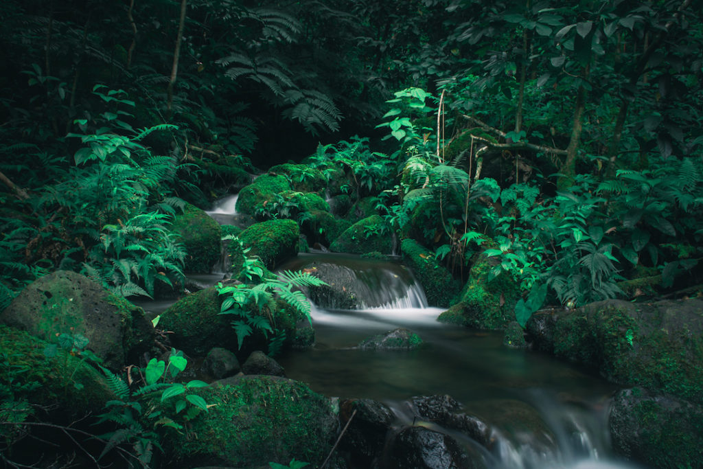 Hike to Waihe'e & Hamama Falls – HawaiiFunshine