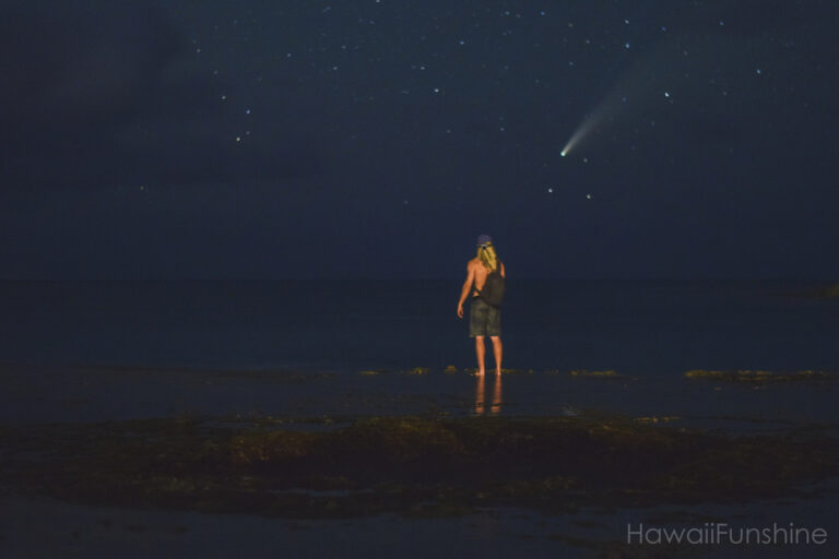 The Burning Snowball, Comet NEOWISE (C/2020 F3) – HawaiiFunshine